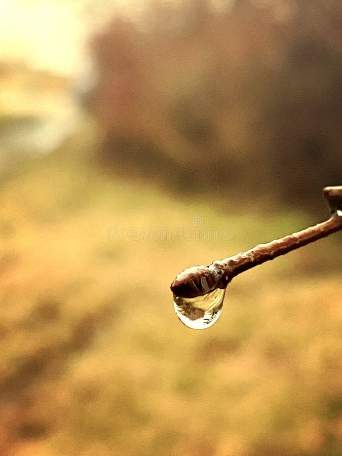 Rain Drop detail of a drop stock image. Image of mountain - 206337175