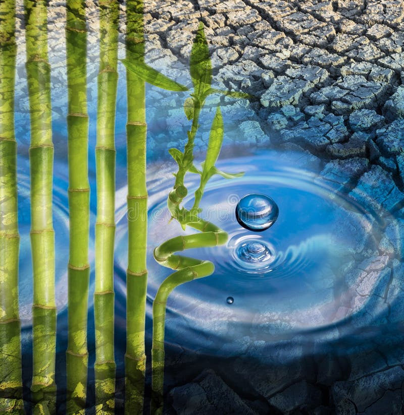 Rain drop and dry earth stock image. Image of dehydrated - 34402689