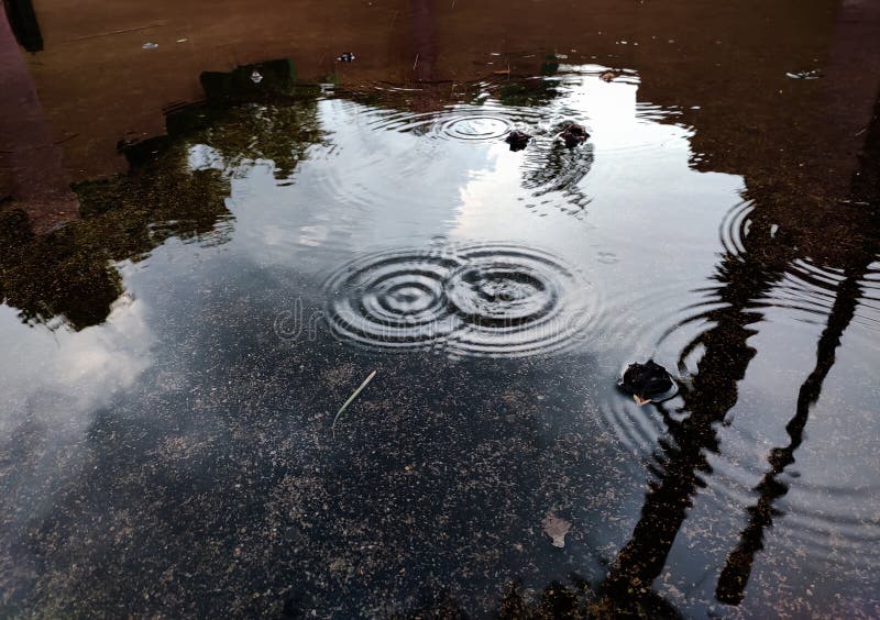 Rain Drop Falling Macro Shot Stock Photo - Image of heavy, circle ...