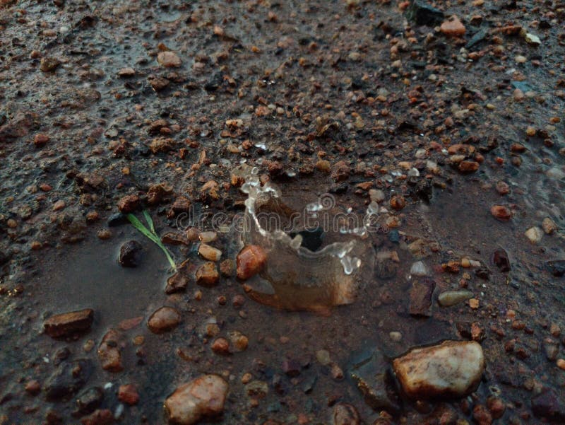 Rain Drop Falling on Ground Stock Image - Image of shot, falling: 218632793