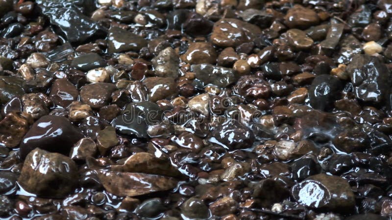 Rain drop on gravel ground stock footage. Video of drop - 201964330