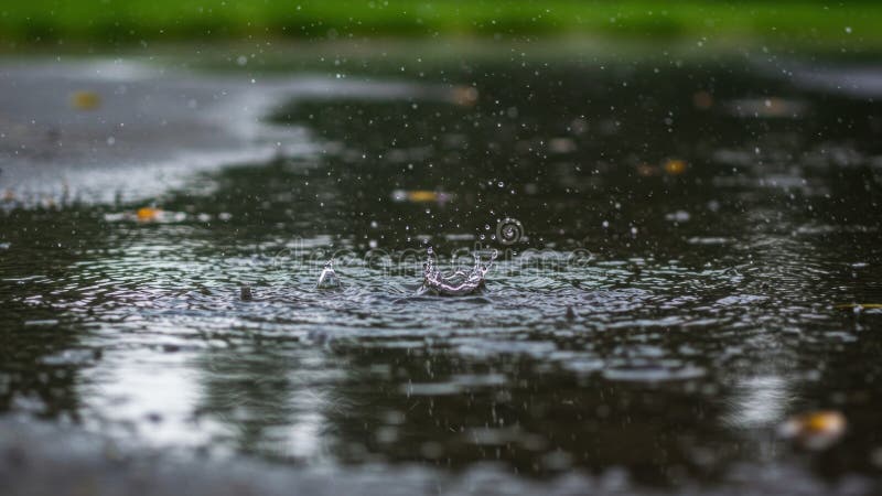 Rain Drop Impact stock illustration. Illustration of rainy - 373478001