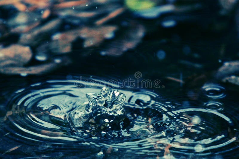 Rain drop stock photo. Image of motion, nature, bubble - 18544434