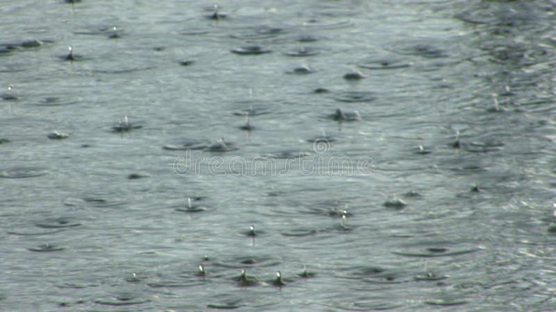 Rain drop ripple texture stock video. Video of pattern - 348036759