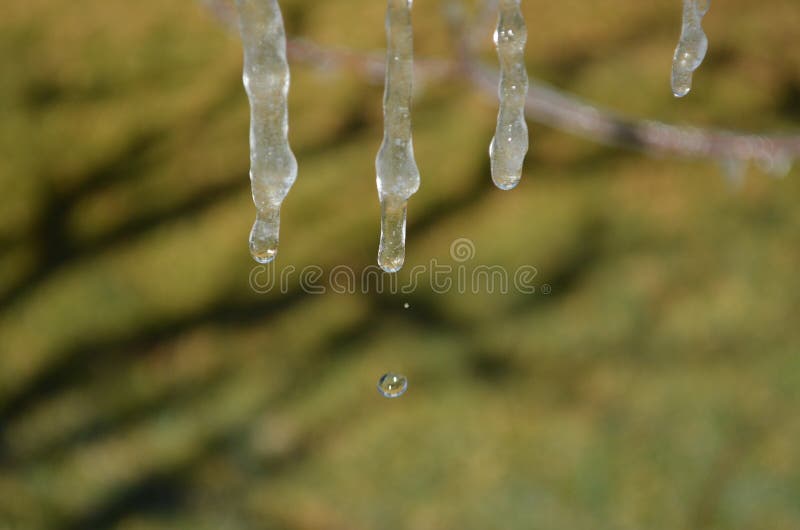 Rain drop stock photo. Image of cold, rain, drop, freezing - 43671242