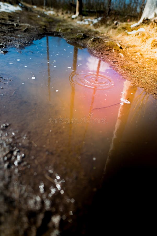 Rain Droplets and Ripples in a Puddle in the Spring Stock Photo - Image ...