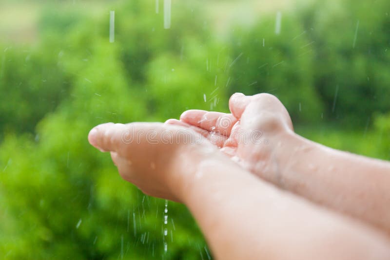 Rain is Dropping on a Man`s Hand Stock Image - Image of hand, adult ...