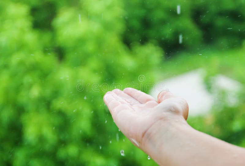 Rain is Dropping on a Man`s Hand Stock Image - Image of people ...