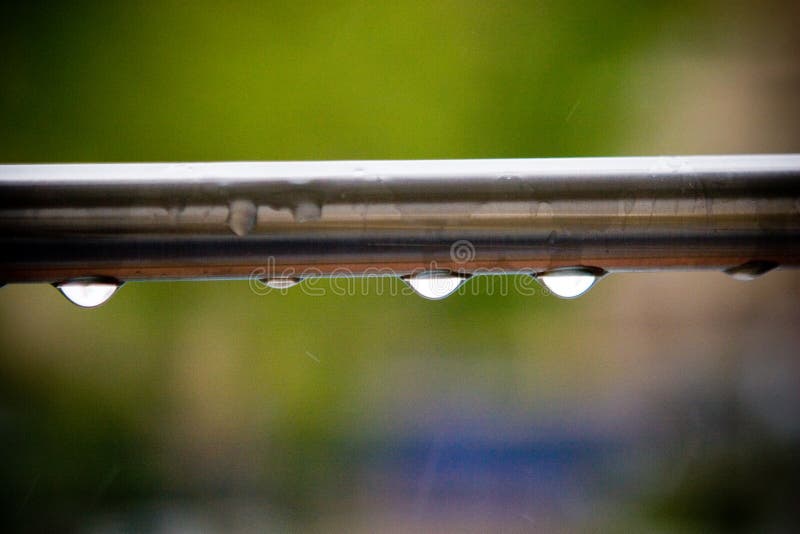 Rain drops stock photo. Image of green, nature, drop, rain - 5074508