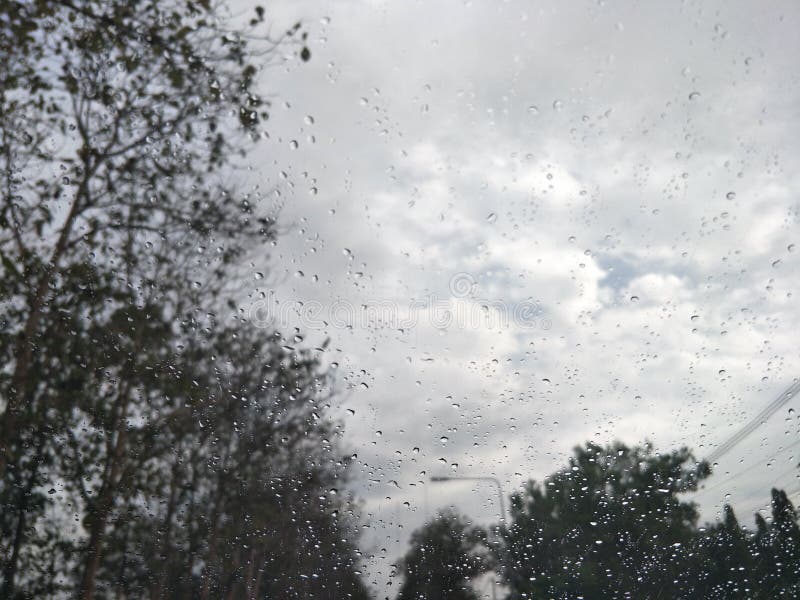 Rain Drops and Beautiful Natural Stock Photo - Image of rain, natural ...