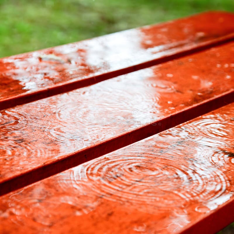 Rain drops on a bench stock photo. Image of park, drop - 30979578