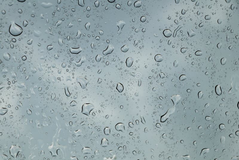 Water Drop On Green Leaf Background Stock Photo - Image of leaf ...