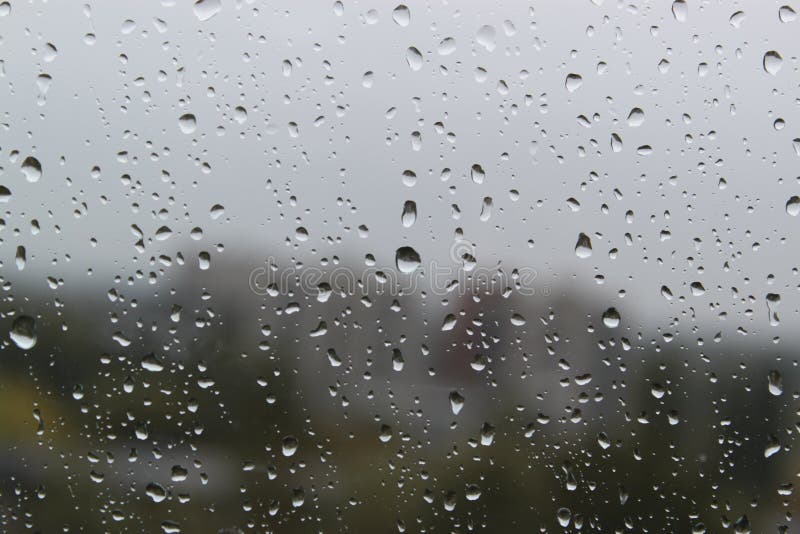 Rain drops in cold weather stock photo. Image of details - 54685980