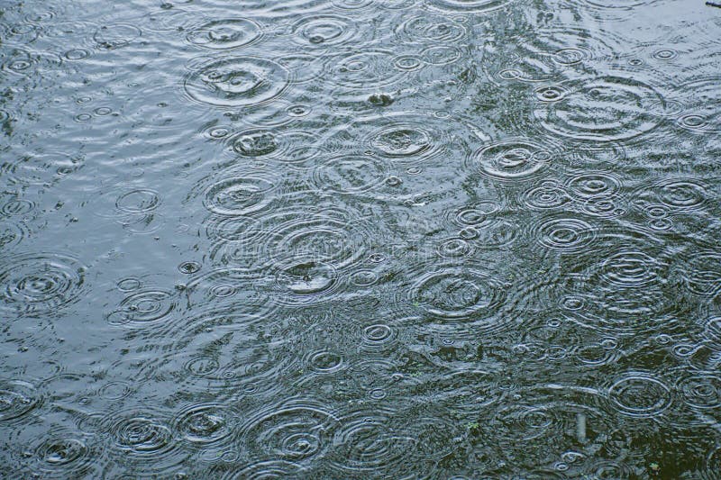 Rain Drops Creating Circles in the Water Stock Photo - Image of surface ...
