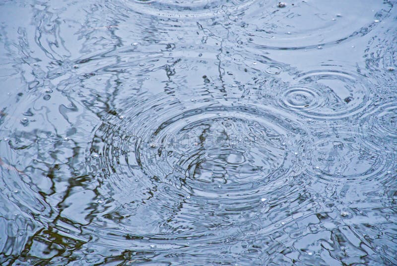 Rain Drops Creating Circles in the Water. Stock Photo - Image of ...