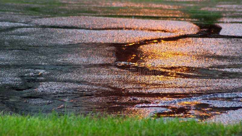 Rain Drops Fall into Puddles Selective Focus Stock Photo - Image of ...