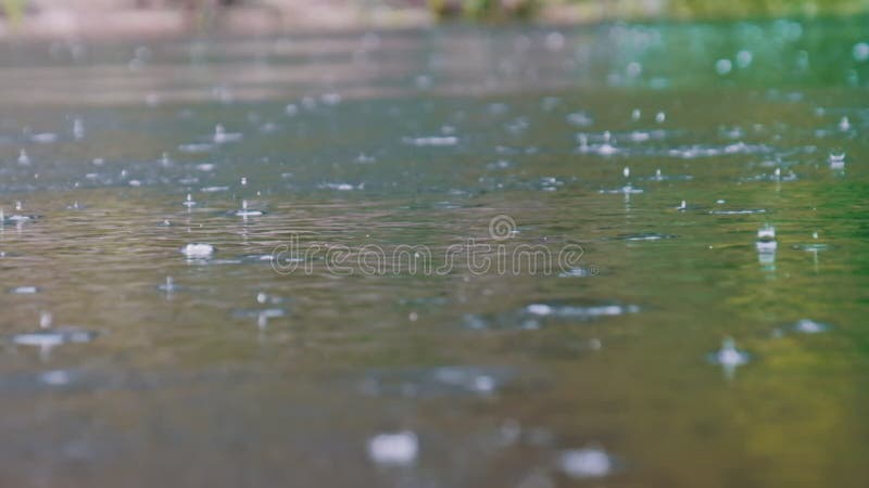Rain Drops Fall on the River Surface with Bubbles in Summer Slow Motion ...