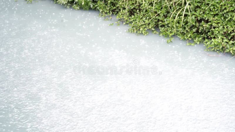 Rain Drops Falling Down on Background View, High Quality of Rain on ...