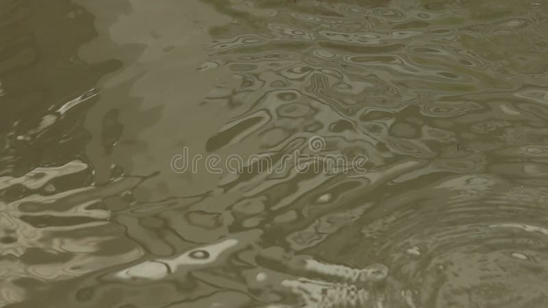 Rain Drops Falling on a Muddy Puddle Stock Footage - Video of city ...