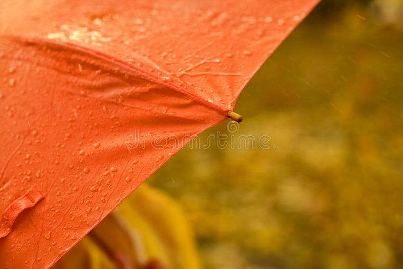 Rain Drops Falling from a Orange Umbrella Stock Photo - Image of drop ...