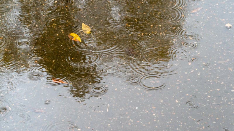 Rain Drops Falling in Puddle on Road in Rain Stock Image - Image of ...