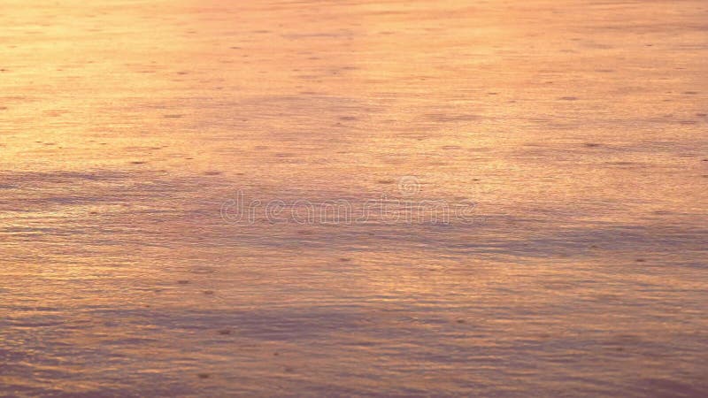 Rain Drops Falling in River Ripple Water at Sunset. Stock Video - Video ...