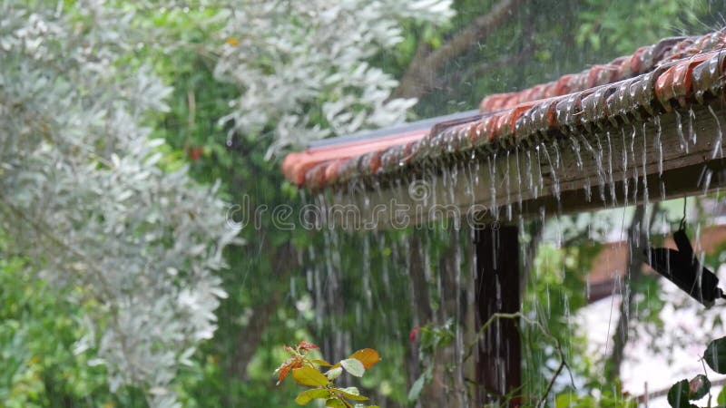 Rain Water Falling Roof Stock Footage & Videos - 1,279 Stock Videos