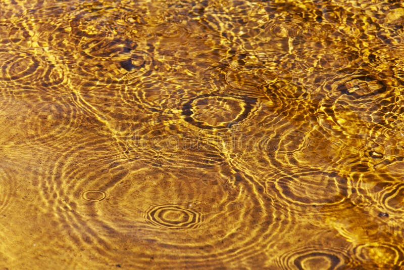 Rain drops stock image. Image of beauty, effect, pond - 135300225