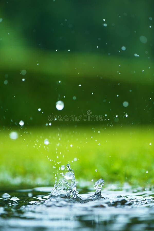 Rain Drops Falling To Puddle Stock Photo - Image of raindrop, falling ...