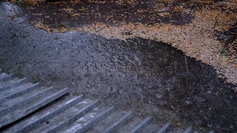 Rain Drops Flow Down, Fall from the Roof in a Puddle during Pouring ...