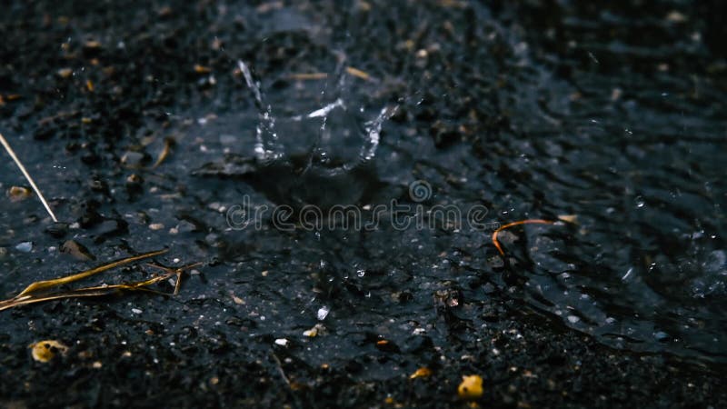 Rain Water Drop Falling in Soil Land in Slow Motion Stock Footage ...