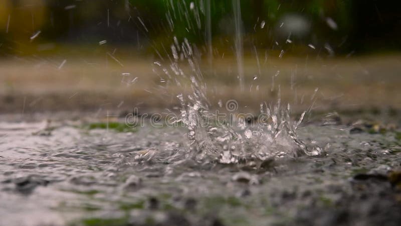 Rain Water Drop Falling in Soil Land in Slow Motion Stock Footage ...