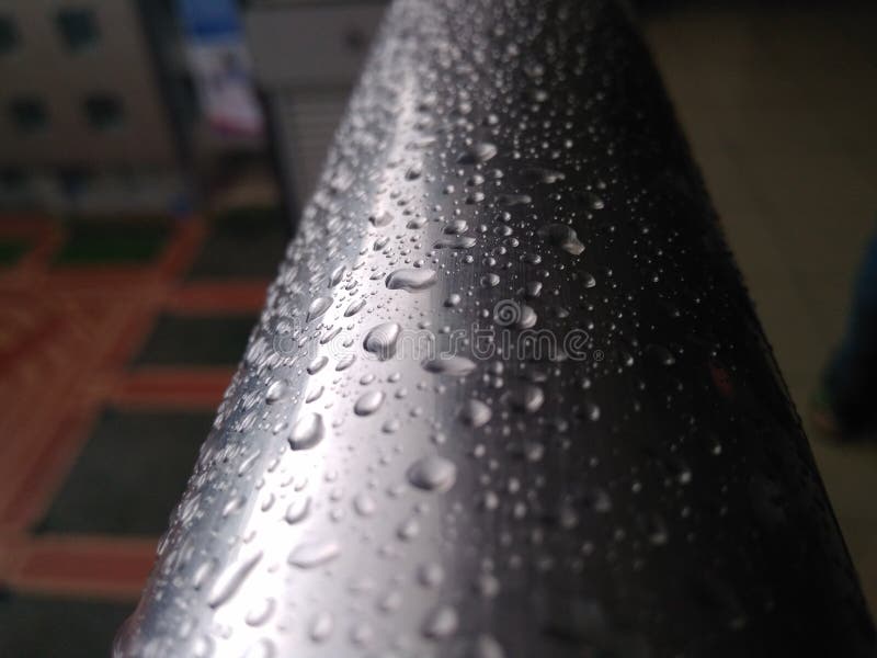 Rain drops stock photo. Image of pretty, drops, rain - 97757276