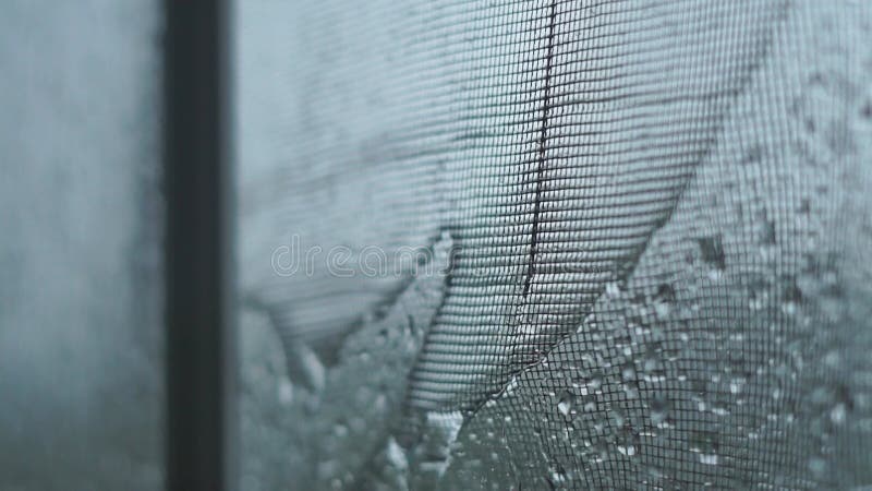 Rain Drops Keep Falling on a Window Stock Footage - Video of rainfall ...