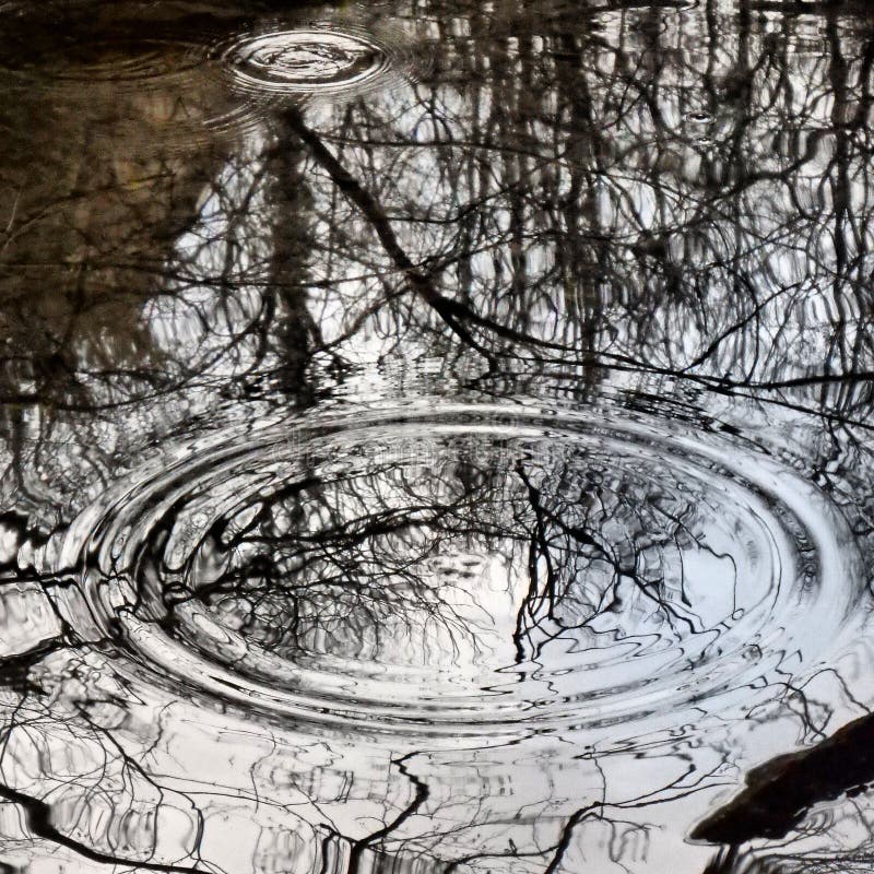 Rain drops perfect circles stock image. Image of drops - 86324255