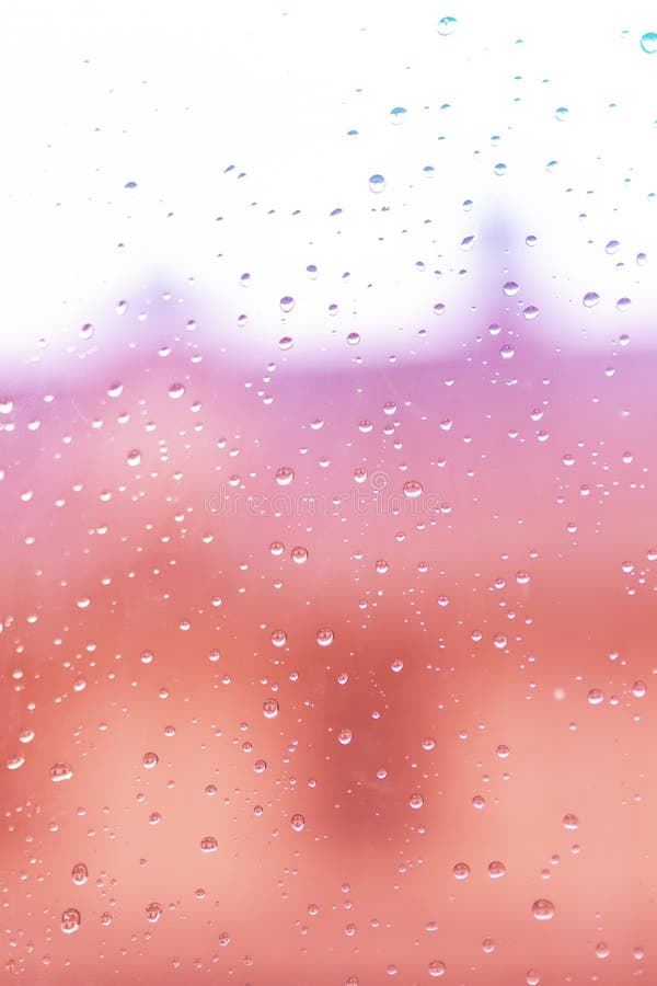 Rain Drops on Pink and Purple Gradient Background Stock Image - Image ...