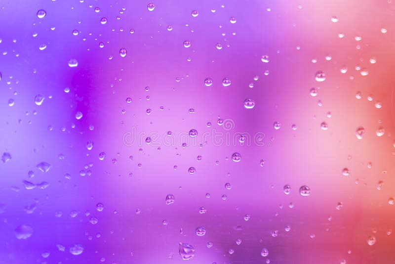 Rain Drops on Pink and Purple Gradient Background Stock Image - Image ...