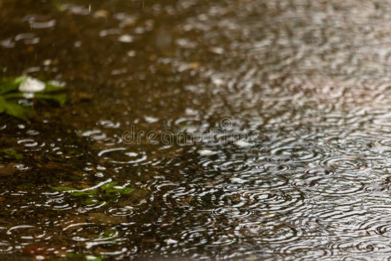 Rain Drops on a Puddlerain Drops on a Puddle Stock Image - Image of ...