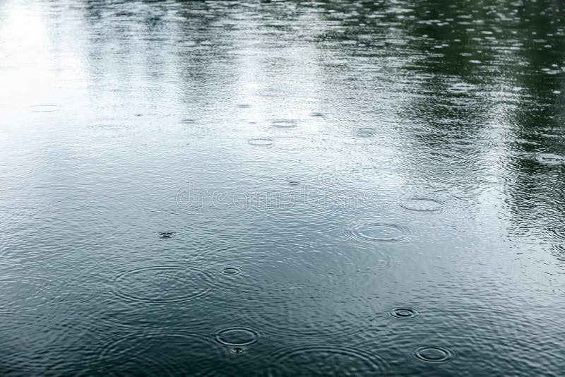 Rain Drops Rippling on Lake Surface Stock Photo - Image of nature ...