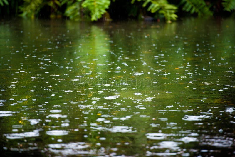 Rain Drops Rippling in a Puddle with Blue Sky Reflection Stock Photo ...