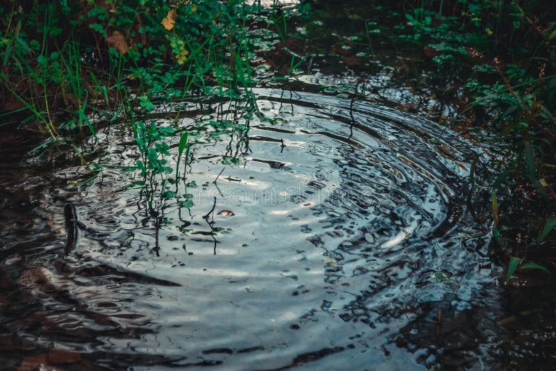 Rain Rippling on Wet Asphalt Road Stock Image - Image of dark, bubble ...