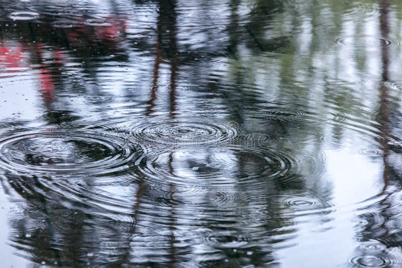 Rain Drops on Water Surface with Tree Reflection Stock Image - Image of ...