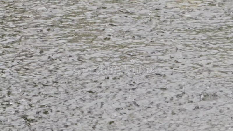 Rain Drops on Water Surface Background Stock Video - Video of weather ...