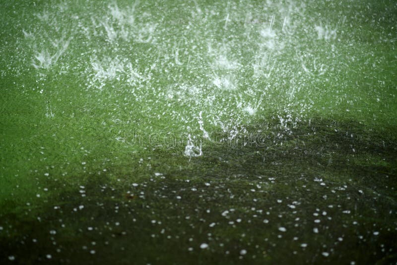 Rain drops stock image. Image of transparent, liquid - 44750733