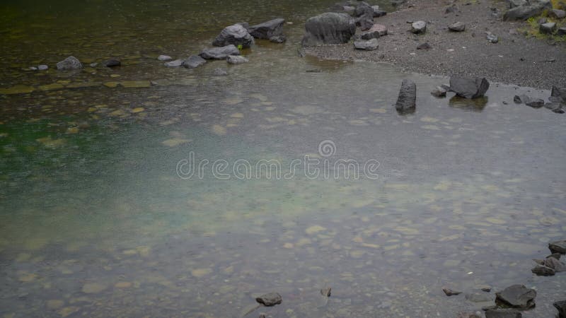 Rain Drops on Water. Rain Drizzle Water Heavy Raindrops Ripple. Stock ...