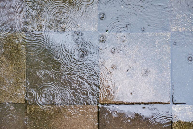 Rain drops on wet pavement stock image. Image of flat - 136566137