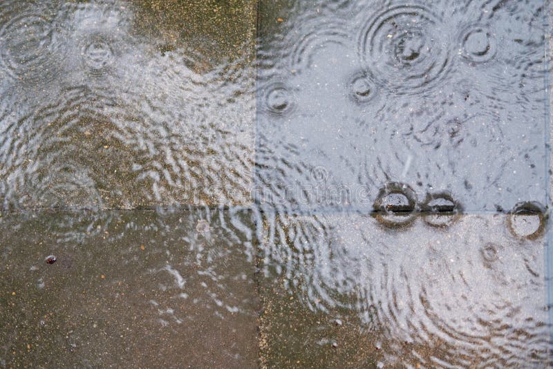 Rain drops on wet pavement stock photo. Image of city - 137092582