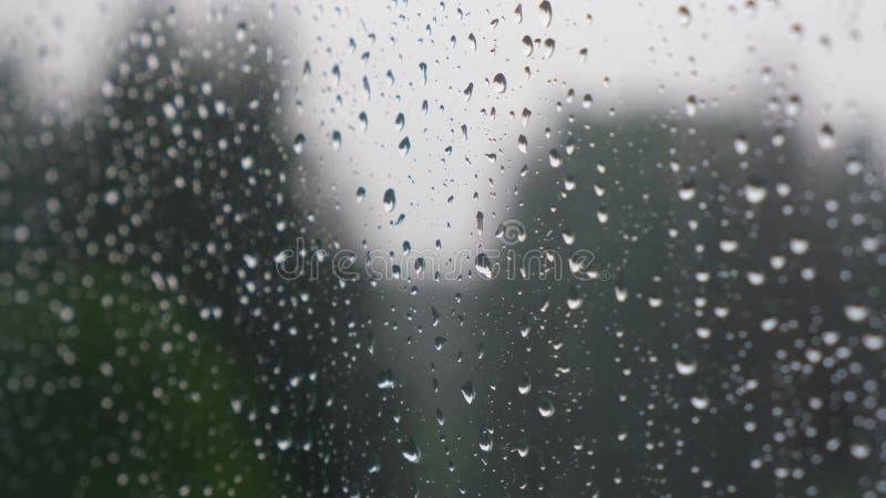Blowing Wind Rain Storm Damage Tree. Bad Weather. Heavy Rain and Strong ...