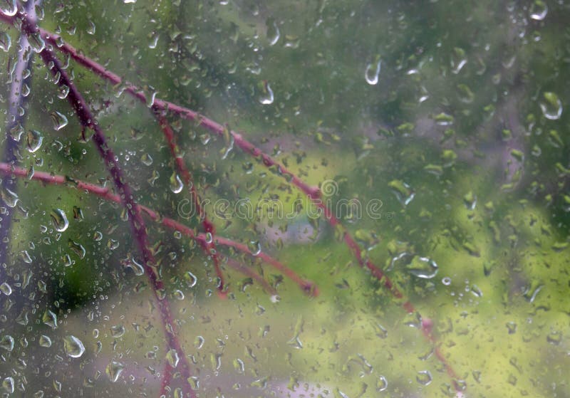 Rain Drops on Window with Green Tree in Background Stock Photo - Image ...
