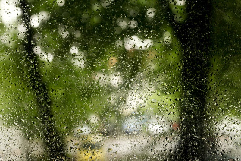 Rain Drops on Window with Green Tree in Background Stock Photo - Image ...